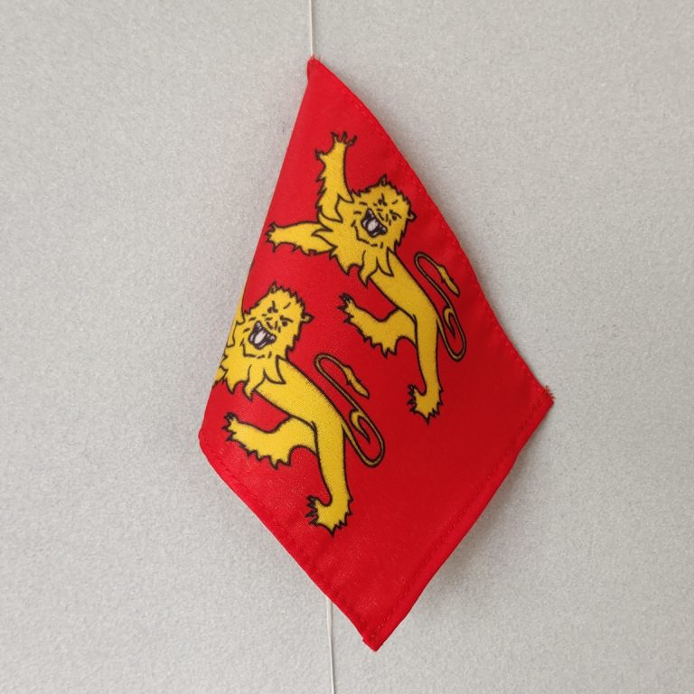 Croix Saint Olaf avec 2 Léopards - H 100 x L 150 cm - Drapeau - Normaund